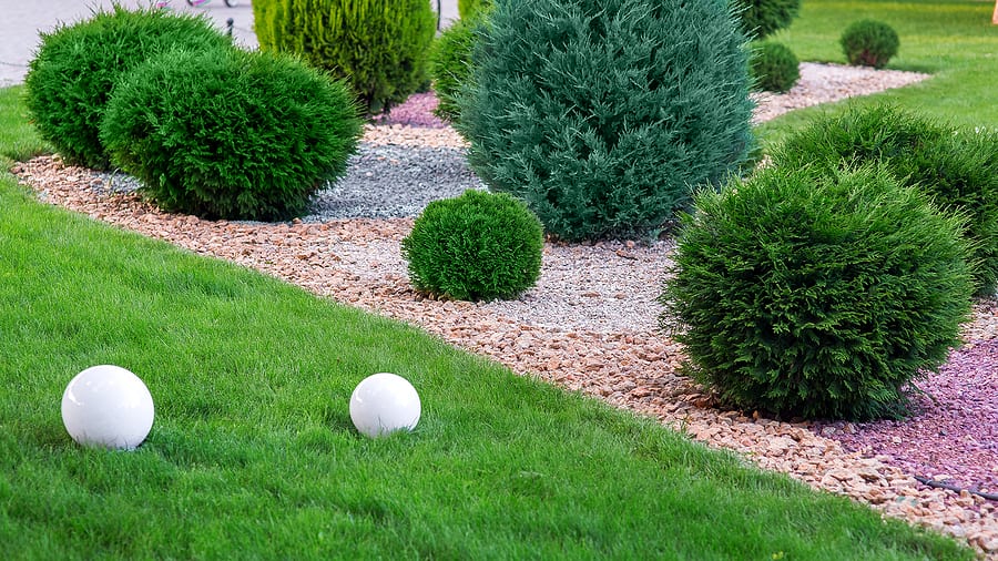 Albuquerque Landscaping with Bushes | R & S Landscaping