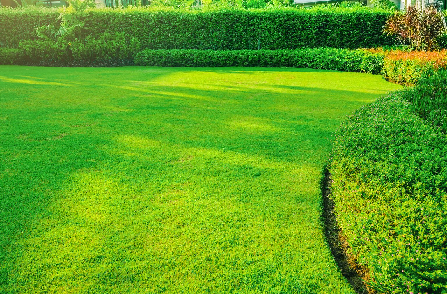 Amazing Landscaping Strategies to use for a Stunning Albuquerque Yard ...