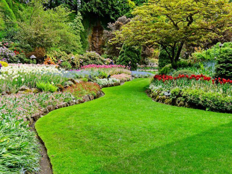 What Spring Landscaping Tasks Make the Biggest Visual Impact?